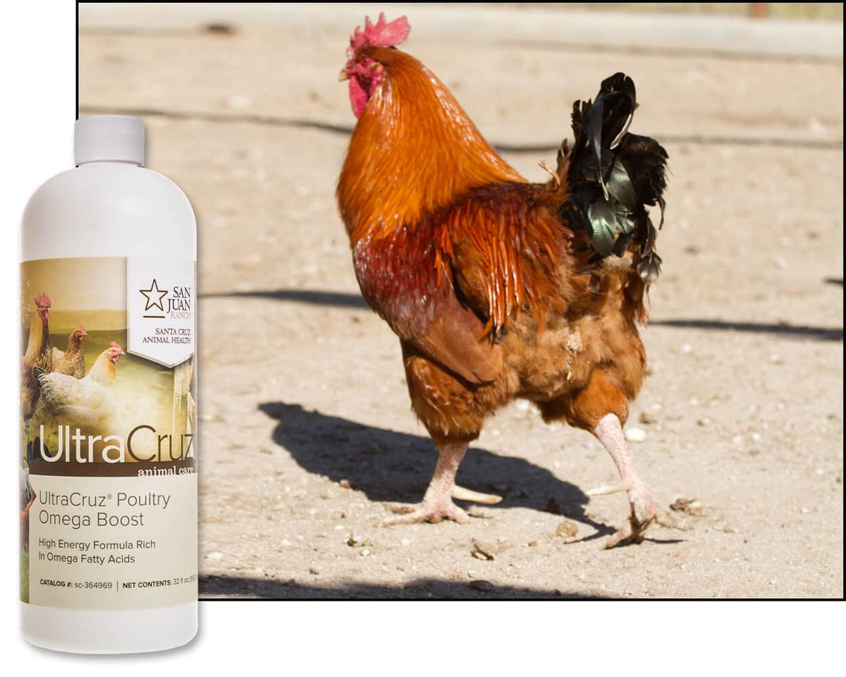 Kids omega 3 fish oil benefits