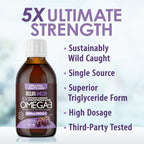 kids omega 3 for brain development