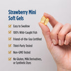 Kids omega 3 for cognitive development