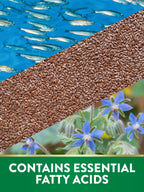 Kids omega 3 for cognitive growth