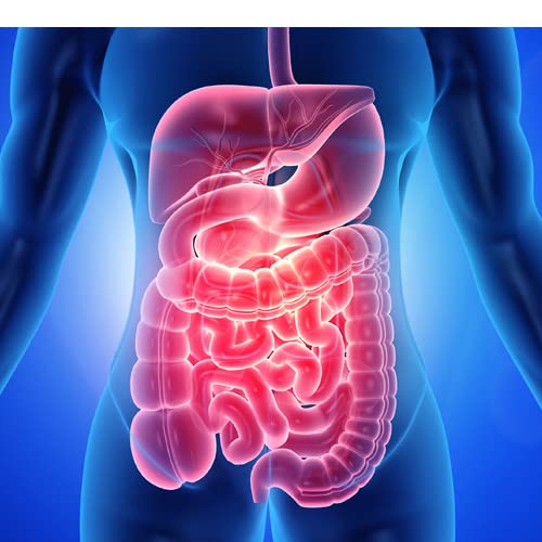 kids omega-3 supplement benefits