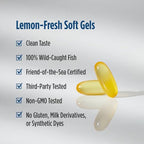 Kids omega 3 supplement benefits