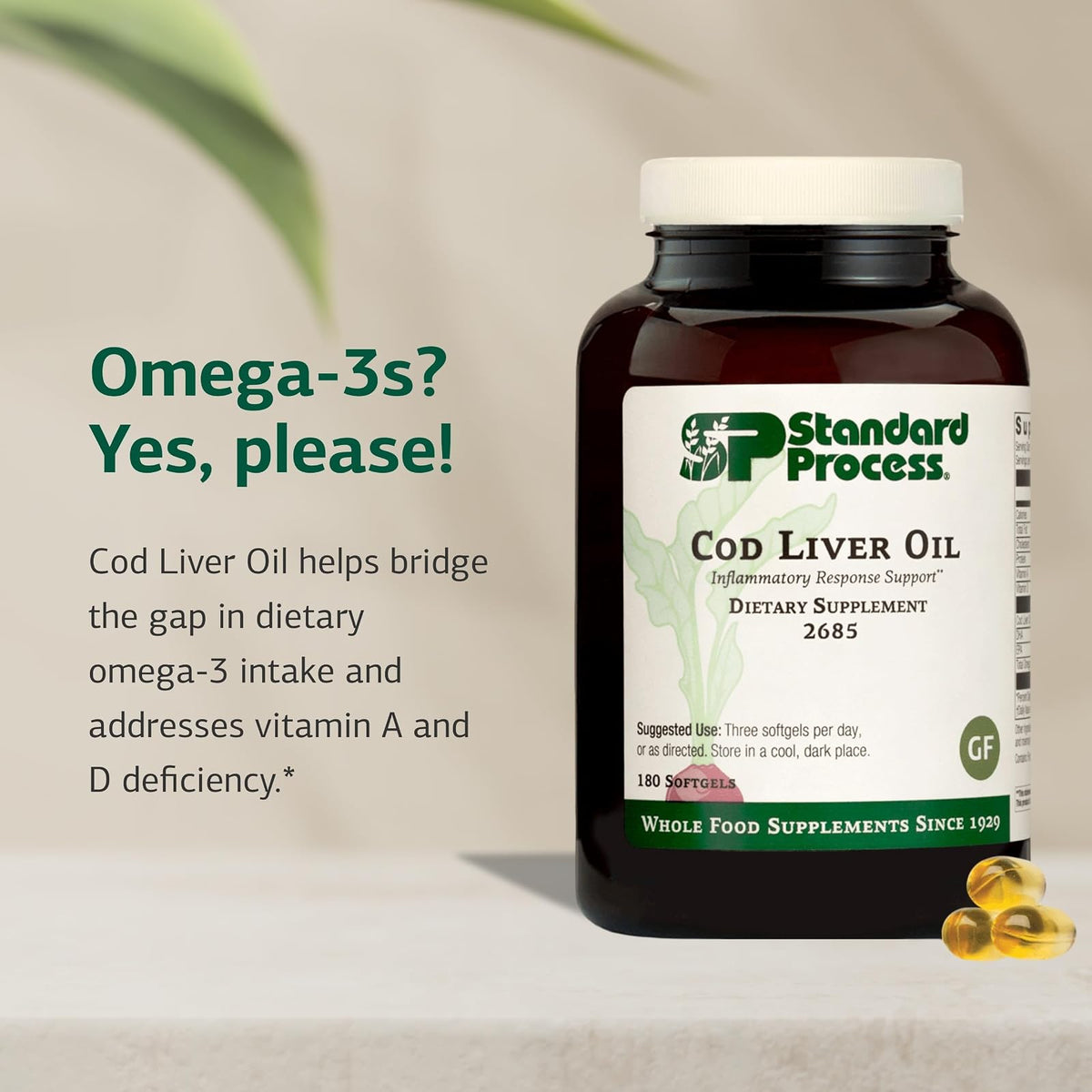 kids omega 3 supplement option