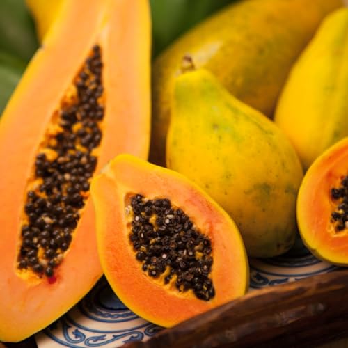 kids papaya fruit multivitamin