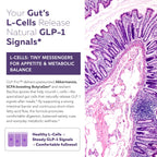 kids probiotic blend for gut support