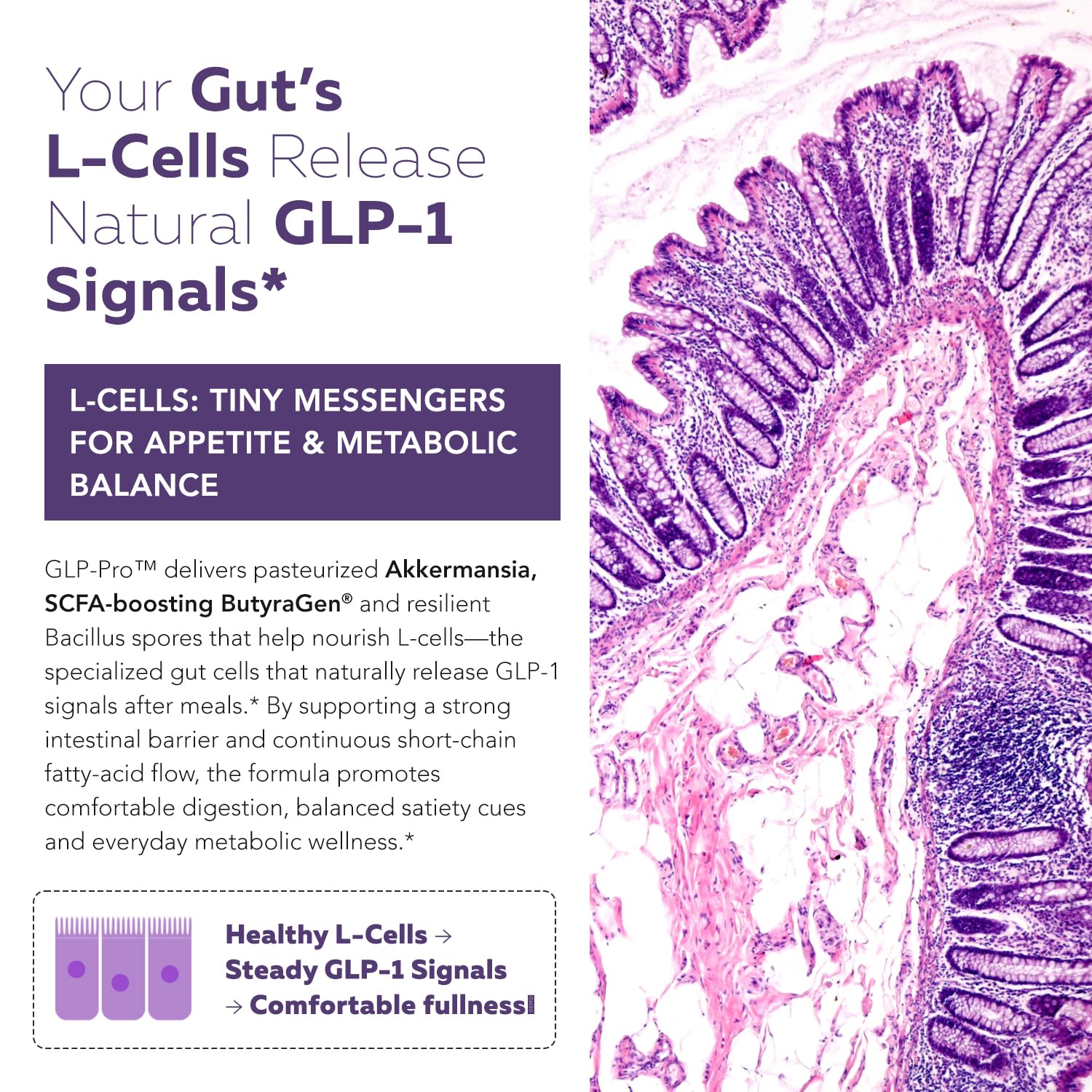 kids probiotic blend for gut support