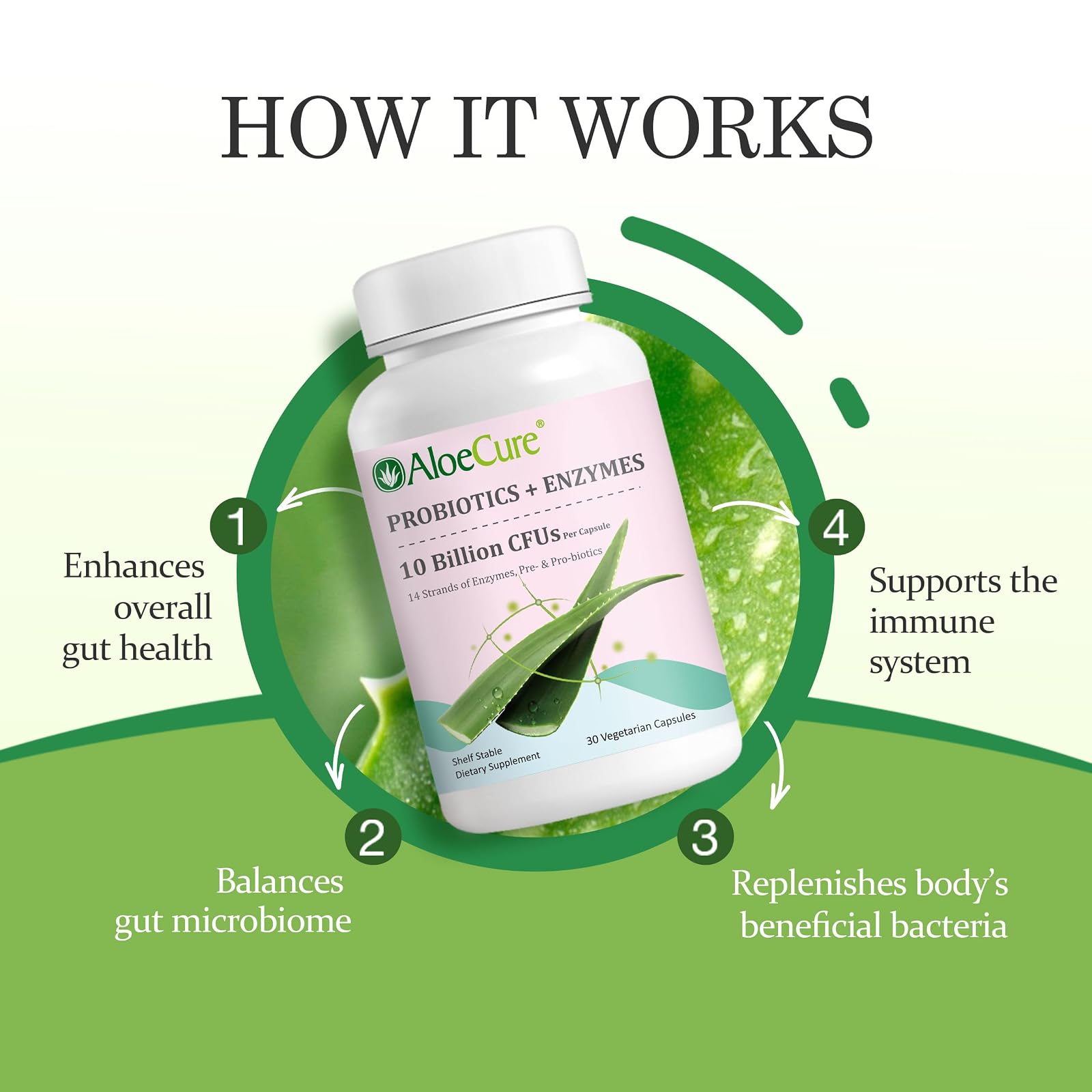 Kids probiotic capsules for gut support