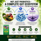 kids probiotic for digestive health