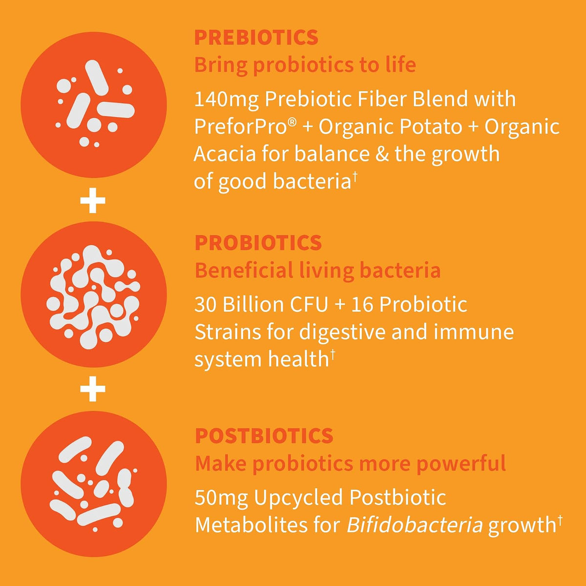 kids probiotic for digestive health