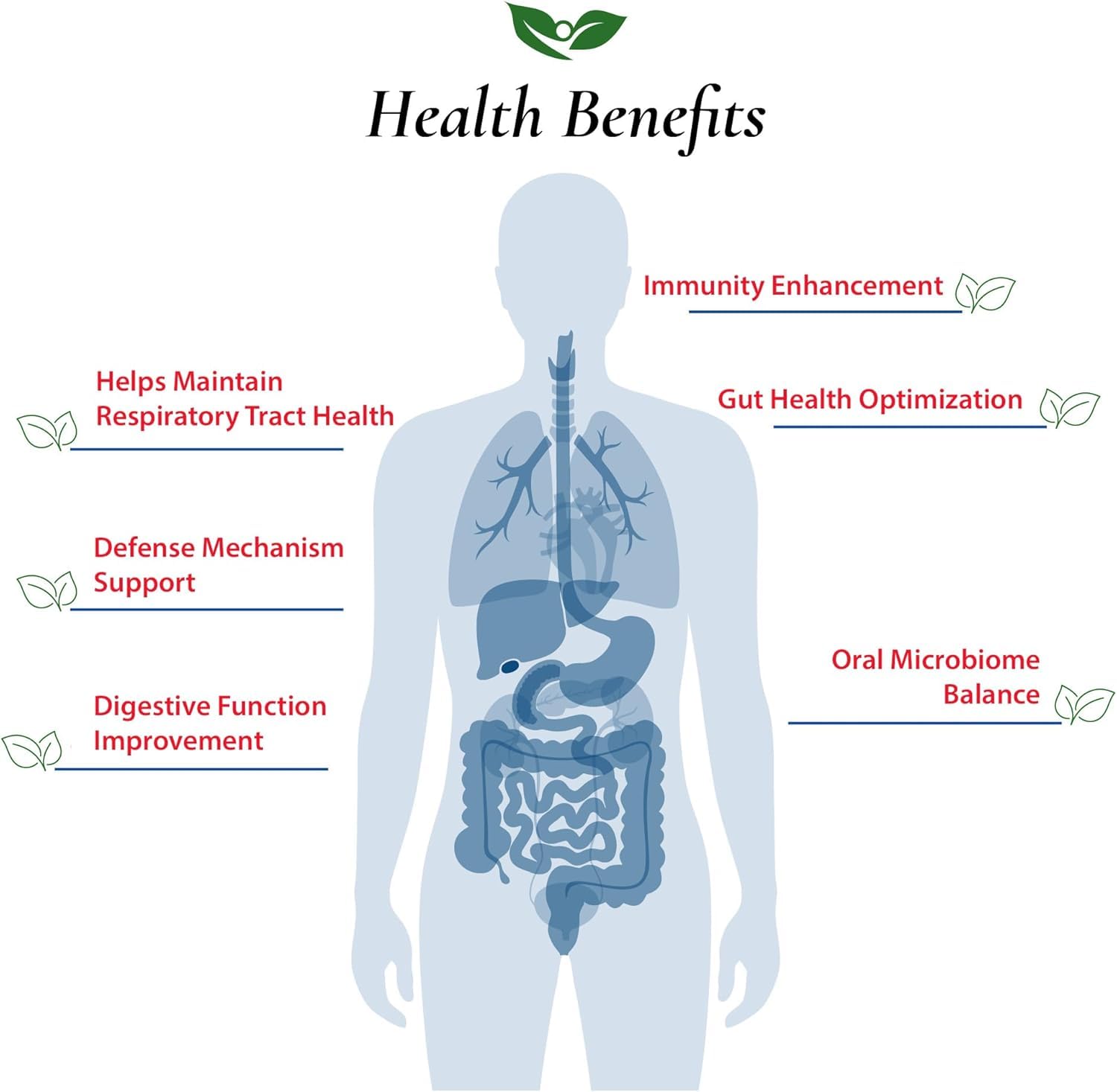 kids probiotic for digestive health