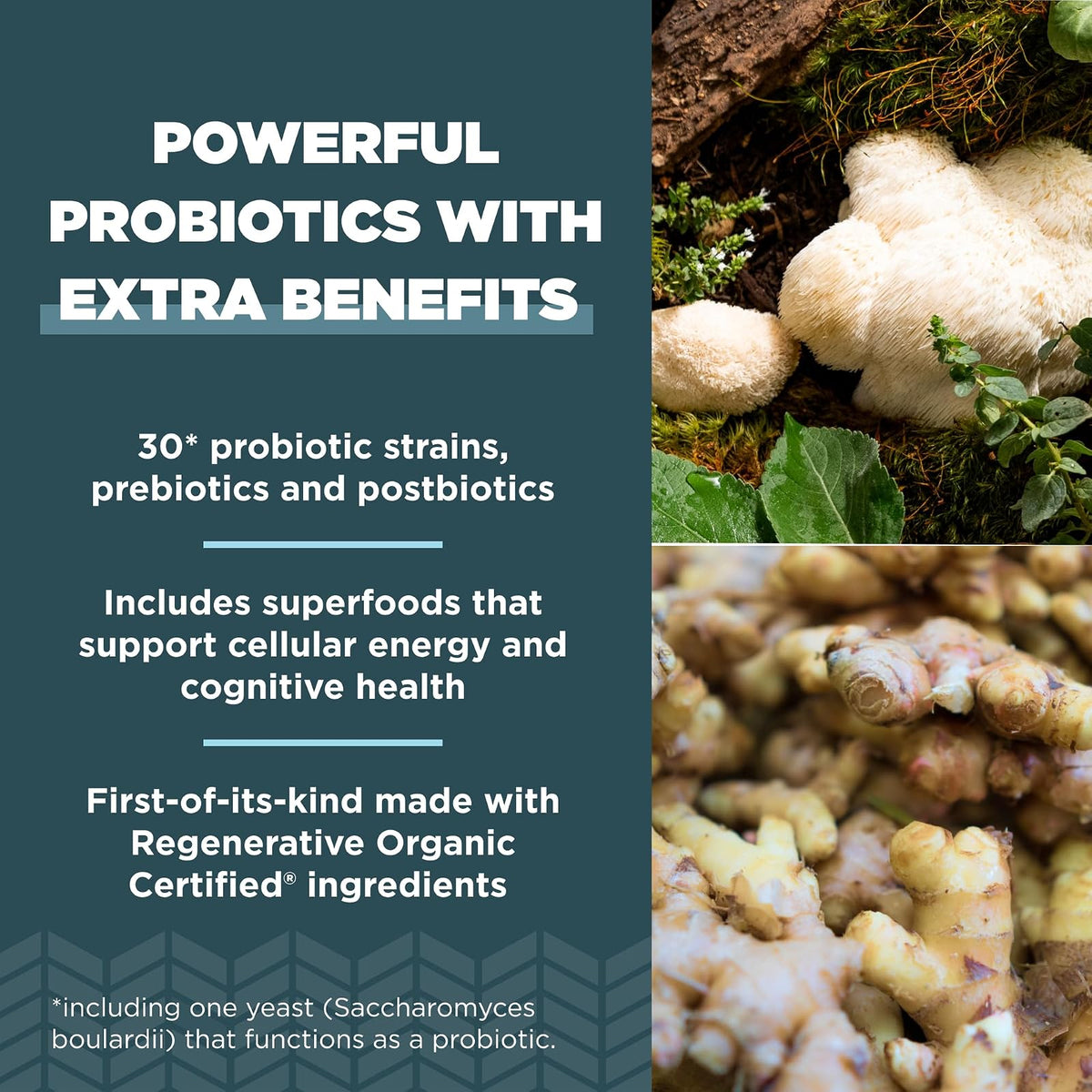 kids probiotic for digestive health