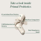 kids probiotic for digestive support