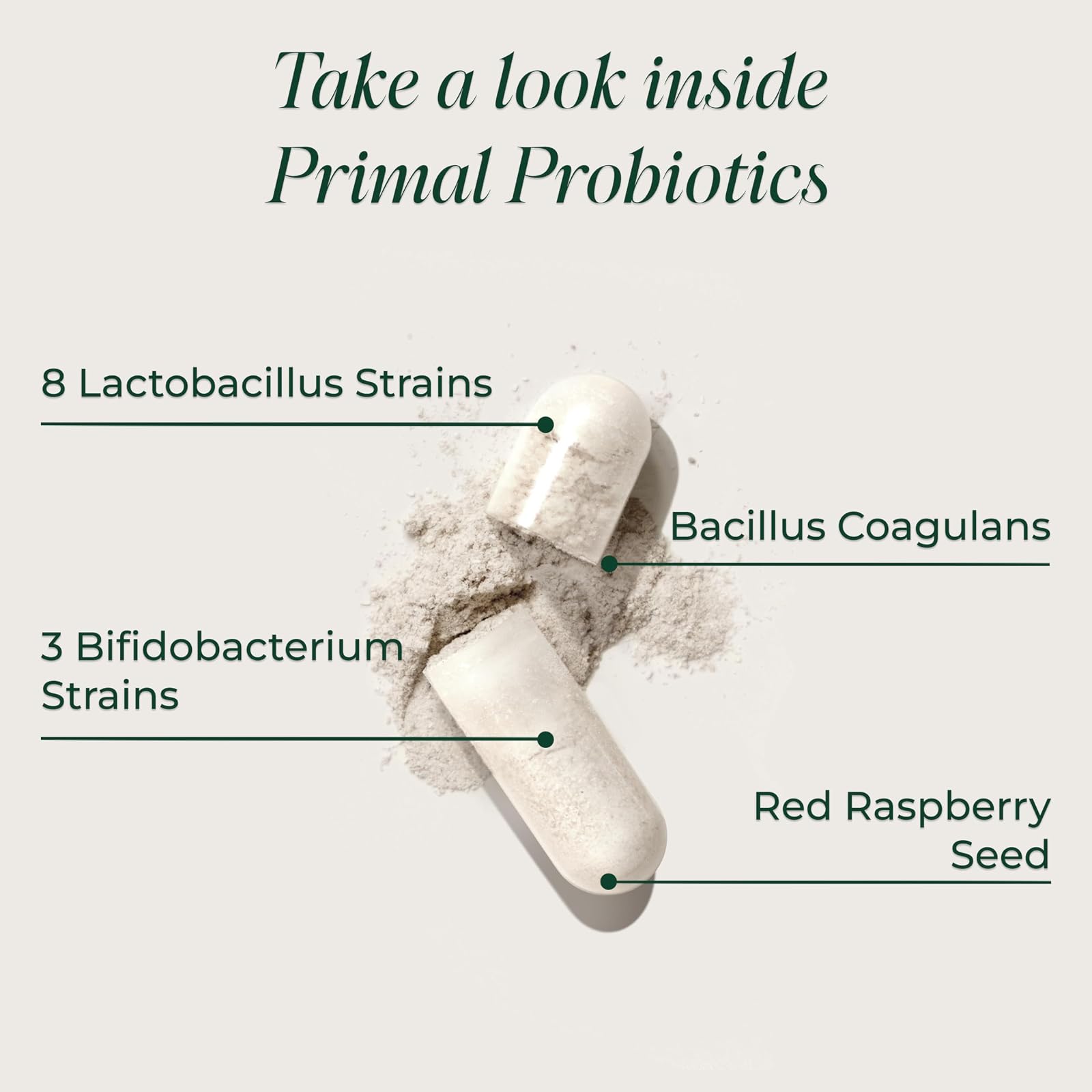 kids probiotic for digestive support