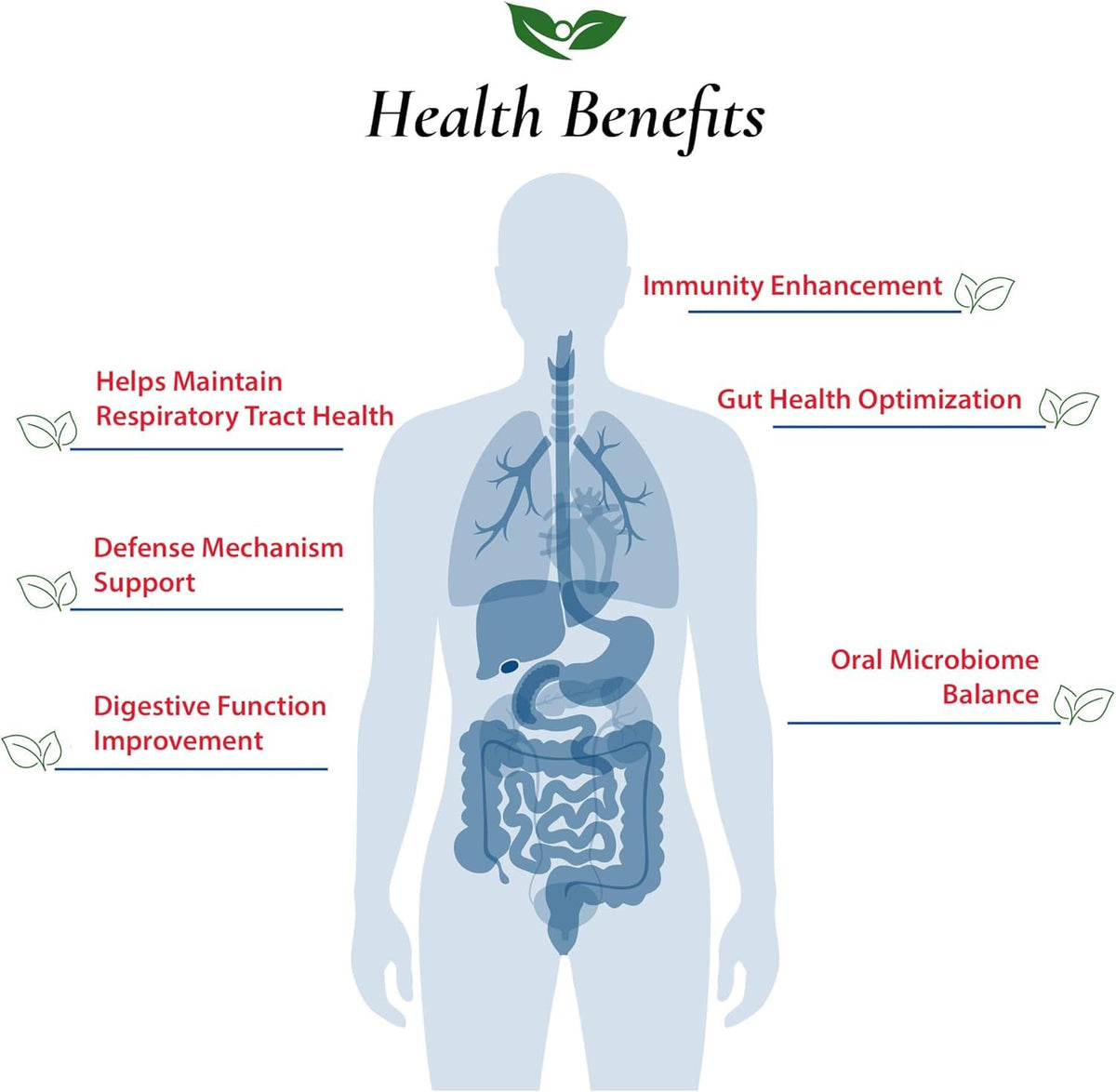 kids probiotic for digestive wellness