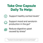 Kids probiotic for emotional balance