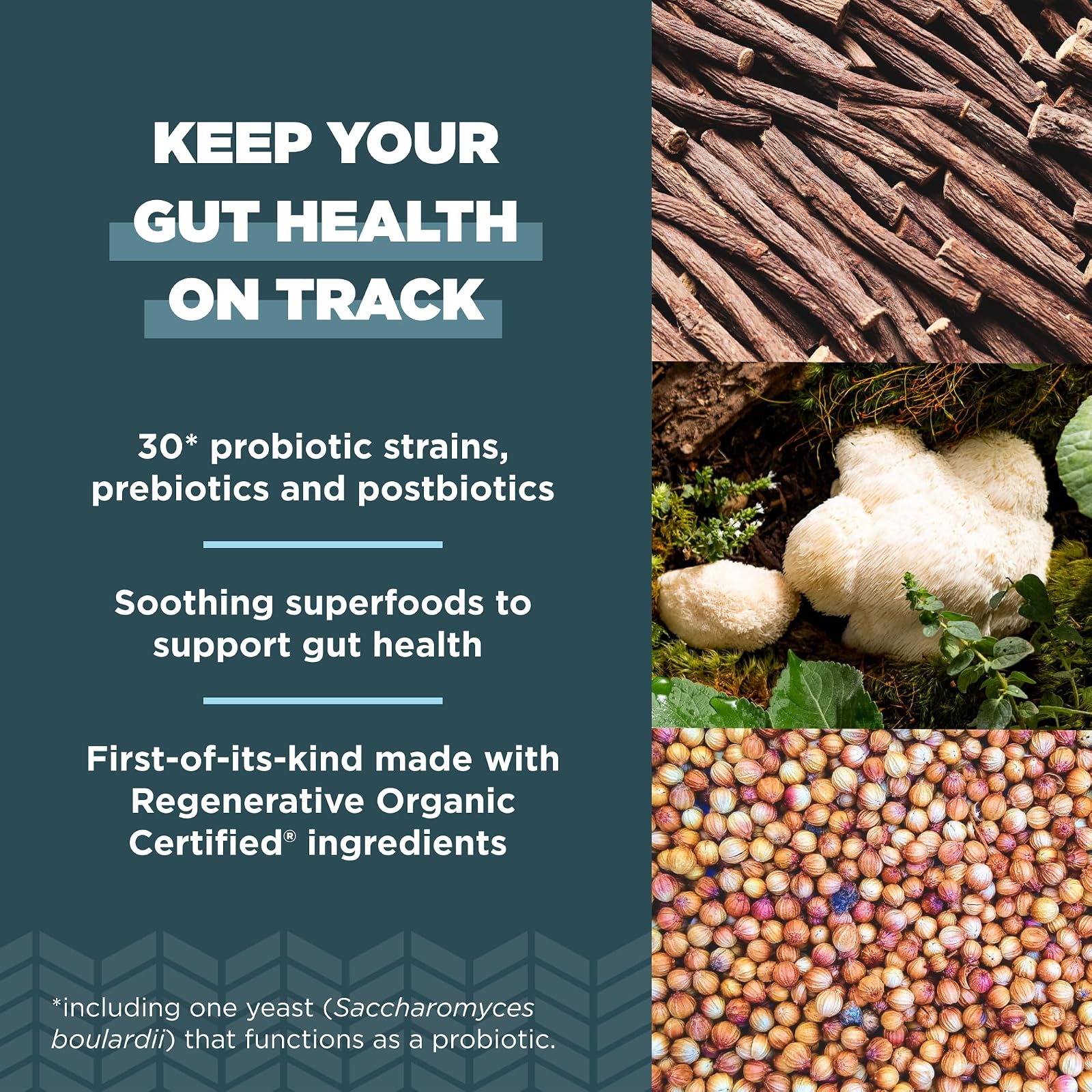 kids probiotic for gut balance