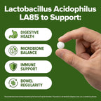 kids probiotic for gut health