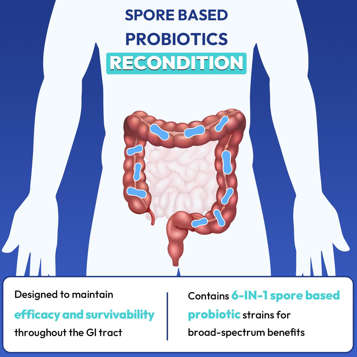 kids probiotic for healthy digestion