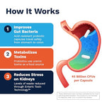 kids probiotic for healthy digestion