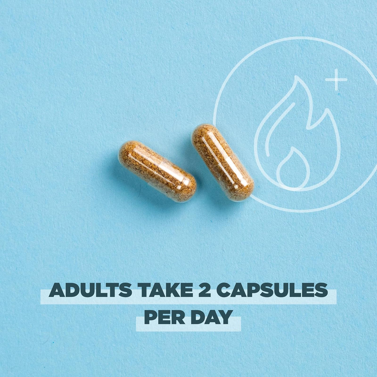 kids probiotic for healthy digestion