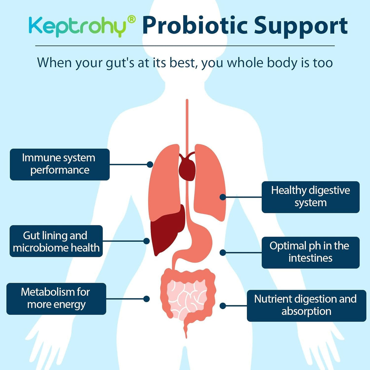 kids probiotic for healthy gut