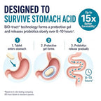 kids probiotic for healthy gut