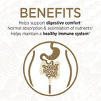Kids probiotic for immune support