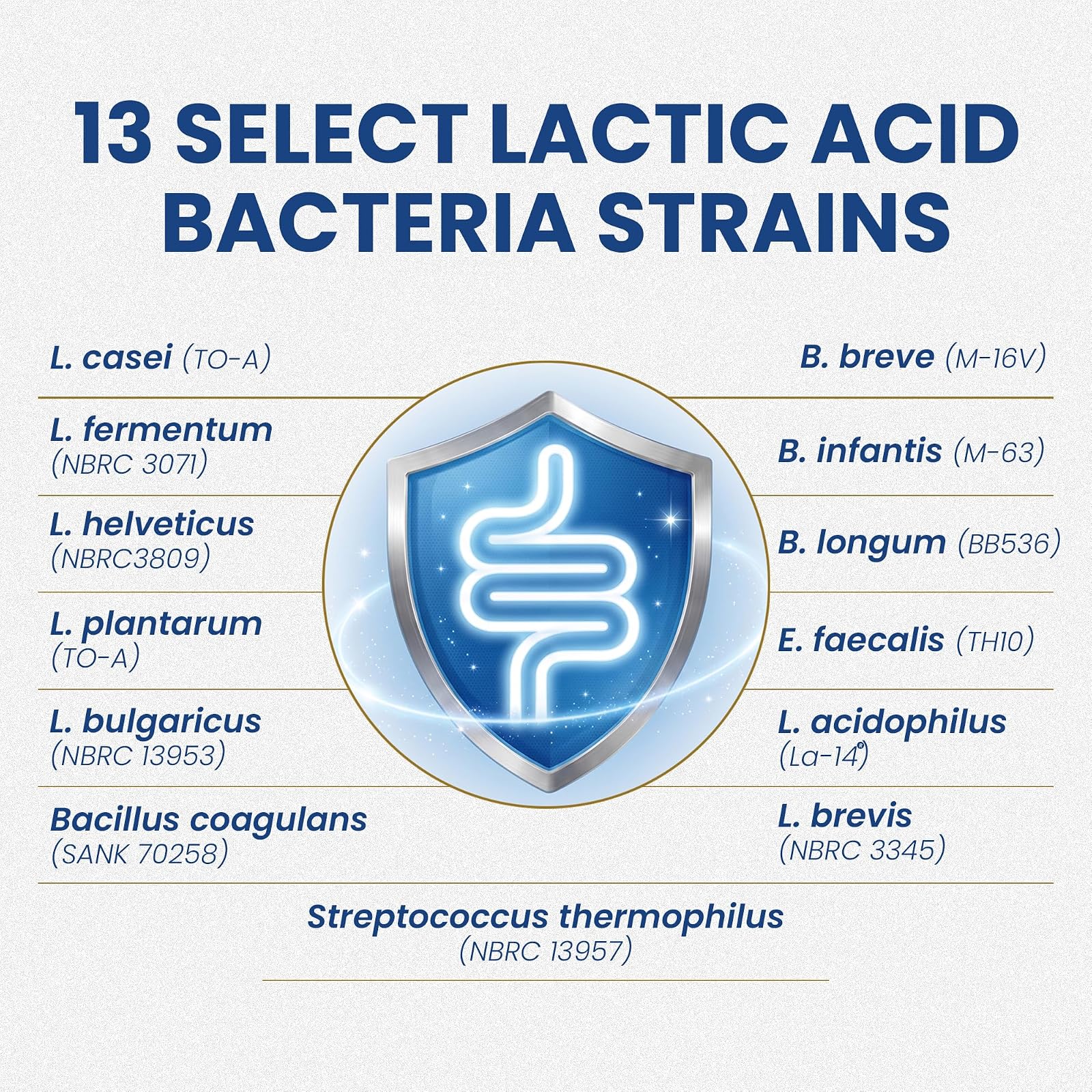 kids probiotic for immune support