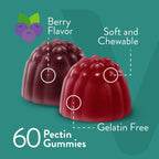 kids probiotic gummies for digestion