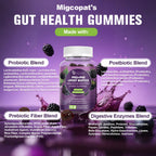 kids probiotic gummies for gut support