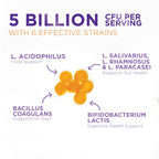 Kids probiotic gummies with 5 billion CFU