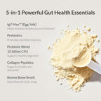 kids probiotic powder for digestion