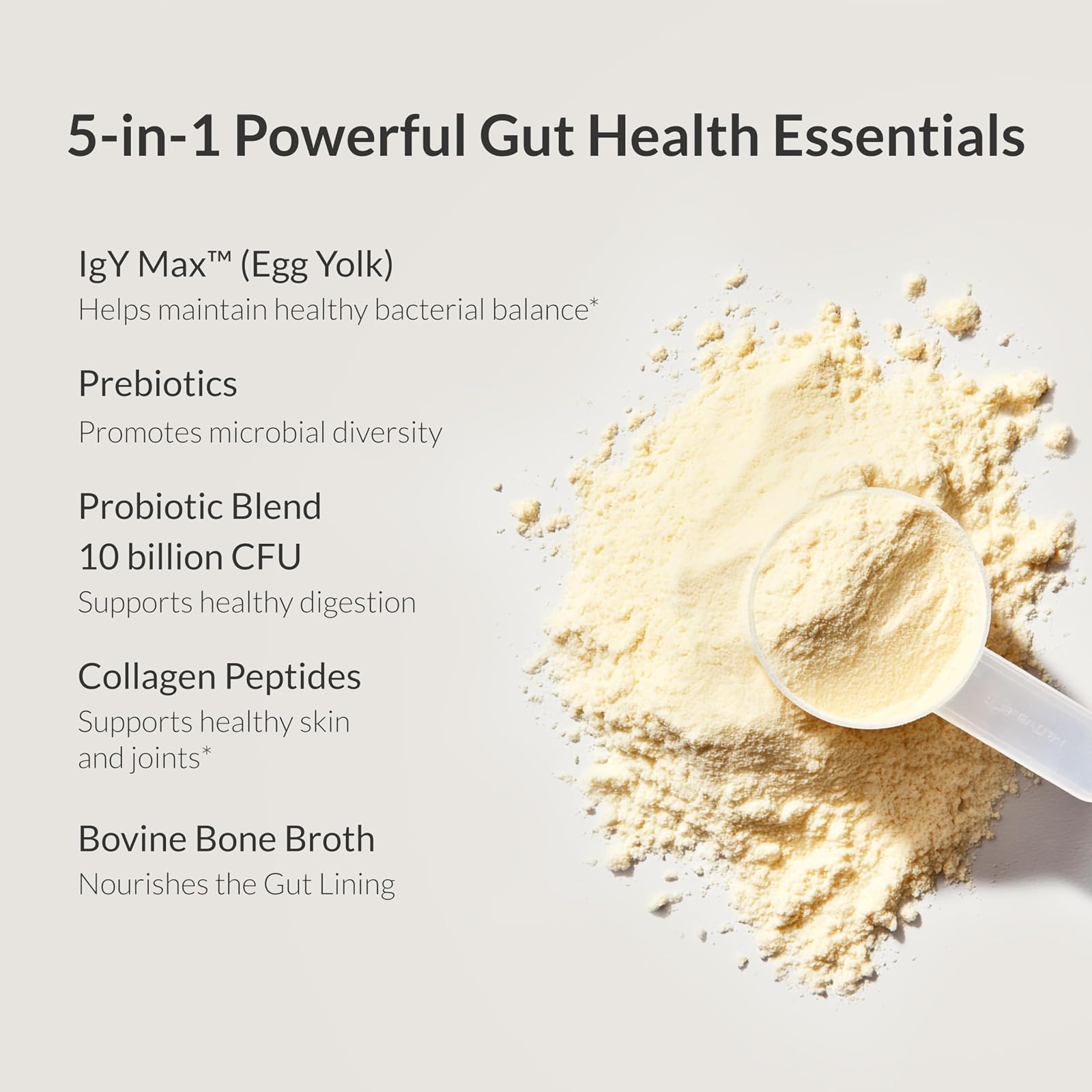 kids probiotic powder for digestion