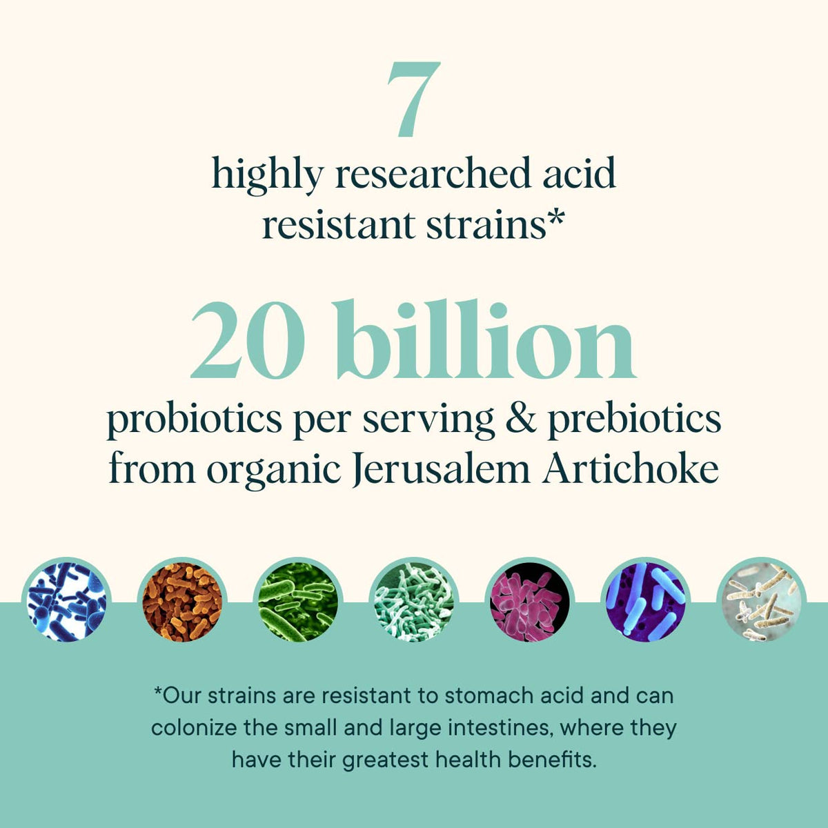 Kids probiotic powder for gut health