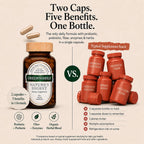 kids probiotic with prebiotics