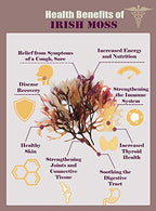 kids sea moss multivitamin capsules