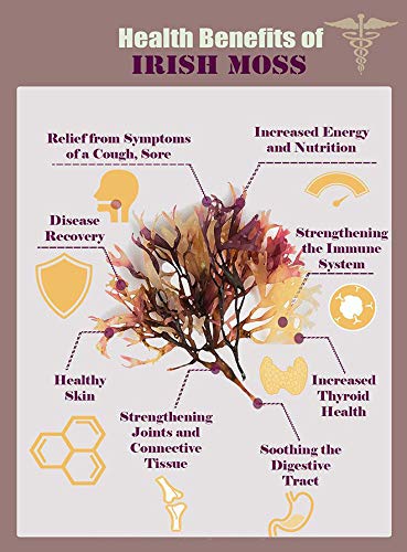 kids sea moss multivitamin capsules