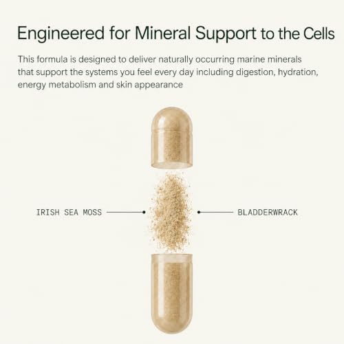 kids sea moss multivitamin
