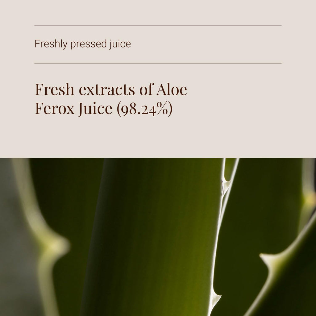 Kiki Aloe Ferox natural ingredients