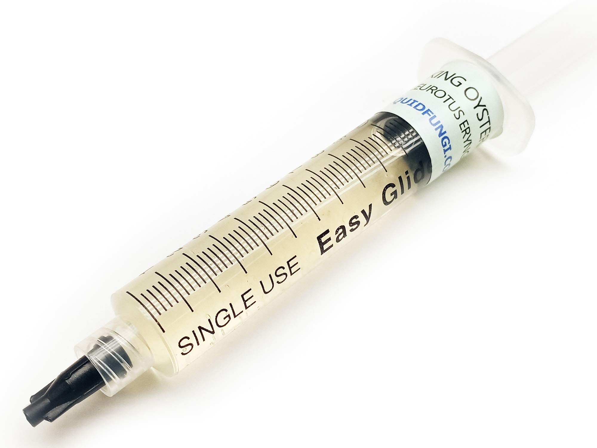 King Oyster mushroom liquid culture syringe