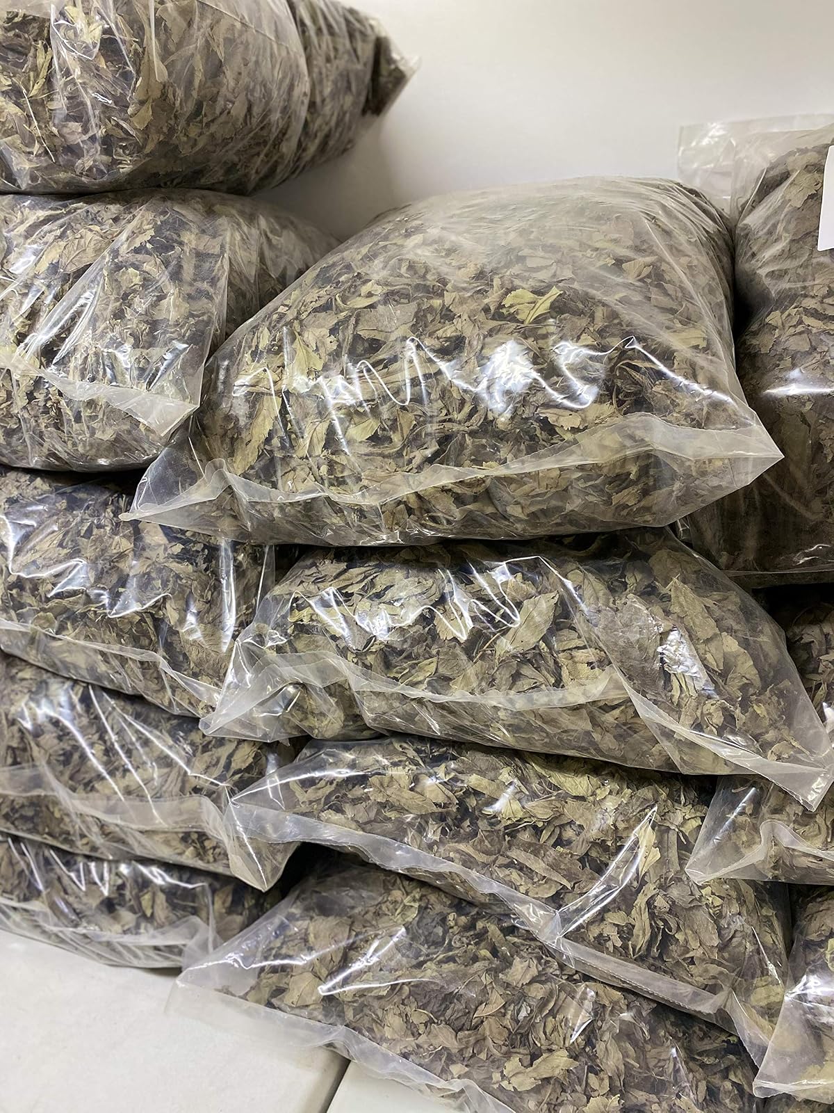 Kinkeliba tea leaves for traditional remedies
