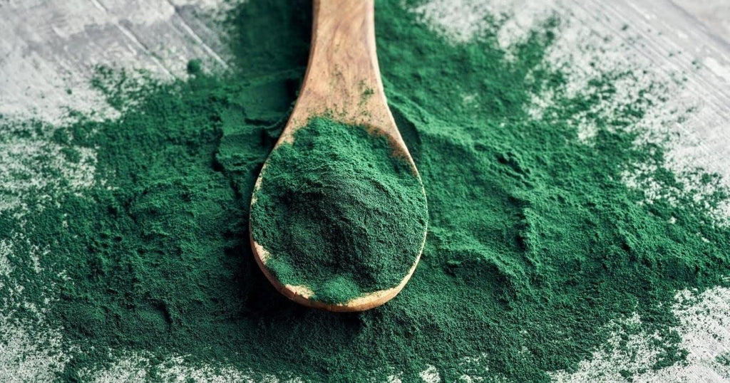 Klamath Lake spirulina protein source