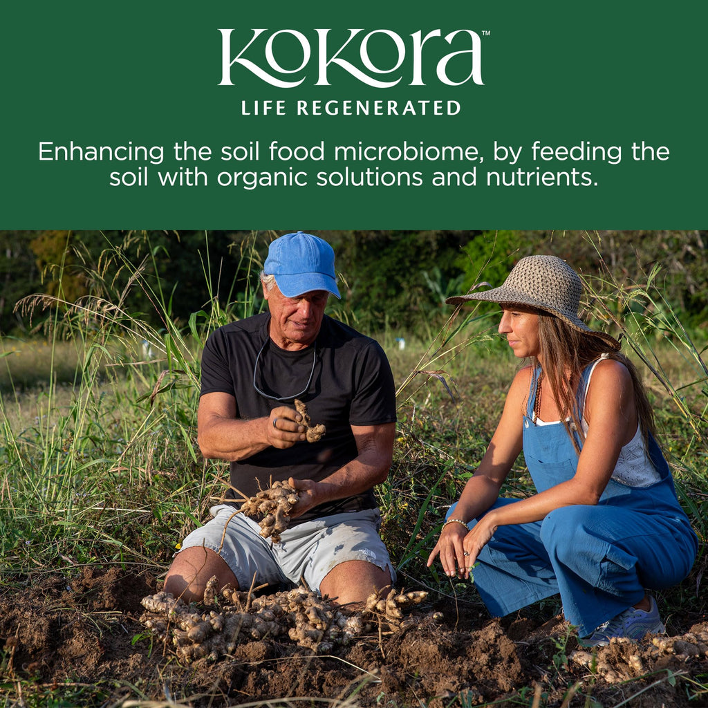 Kokora ashwagandha for men's health
