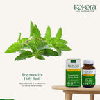 kokora Holy Basil supports immune health