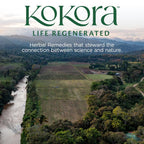 kokora mushroom powder for daily vitality