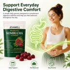 Kombucha capsules for gut wellness