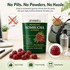 Kombucha gummies for daily probiotics