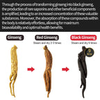 Korean black honey ginseng benefits