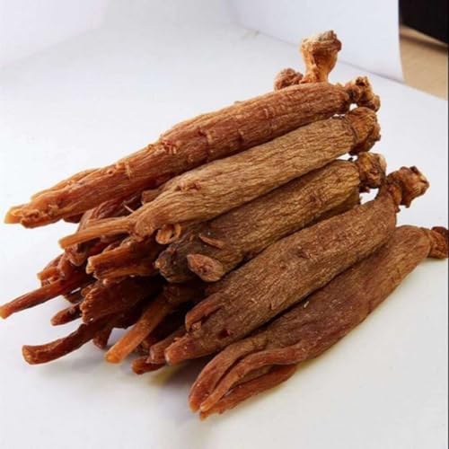 Korean ginseng for daily vitality
