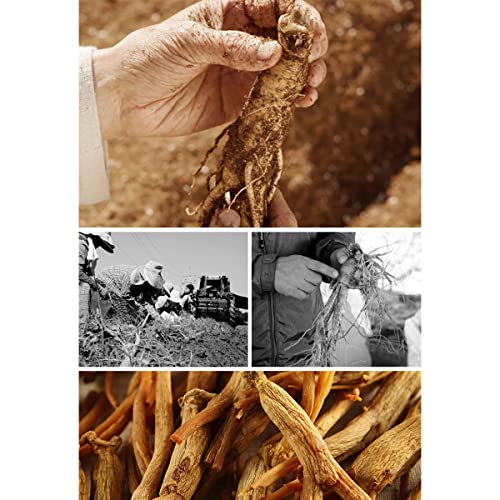 Korean ginseng for enhanced performance